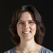 Floor Huisman | Research | University College Dublin