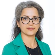 Hananeh Younesian | About | University College Dublin