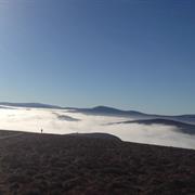 Robert Osburn | About | University College Dublin